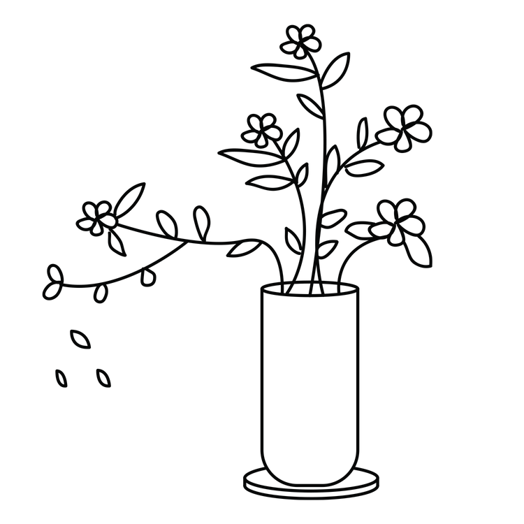 Boutique Clothing, Decor, and Spa Products | Kashwére